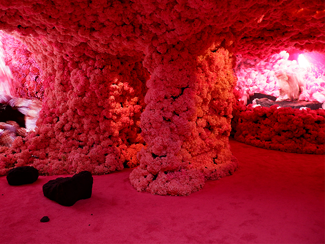 뉴욕 머서 랩(Mercer Labs) 티켓 - NewYork.kr